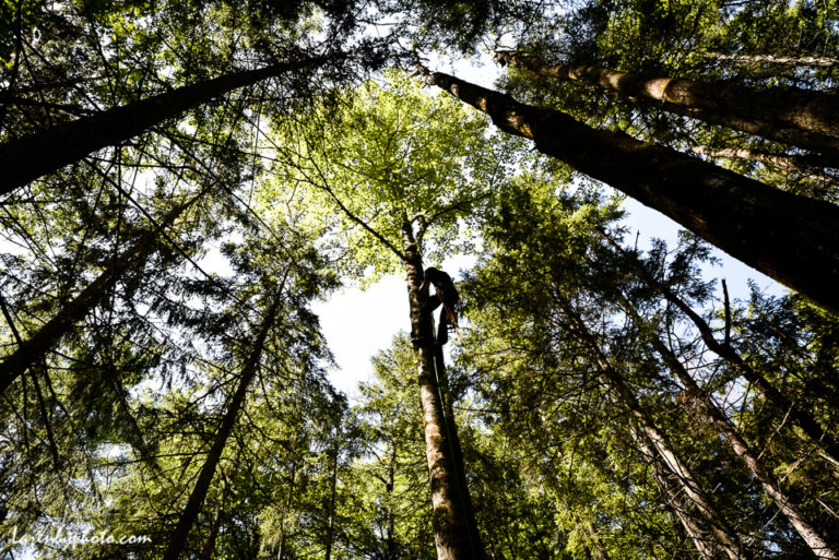 lazenbyphoto.com | Northern Woodlands